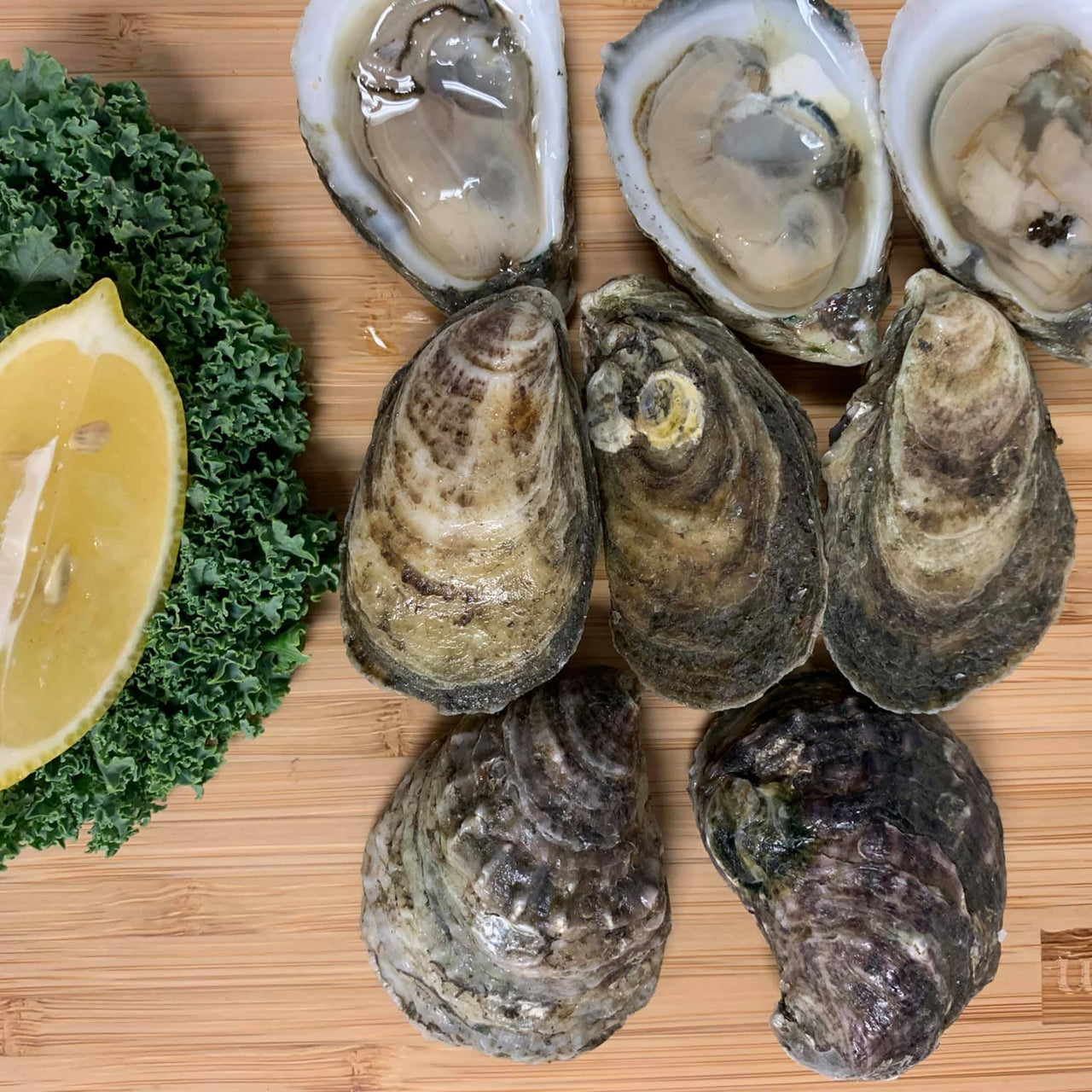 Pelican Seafood Company