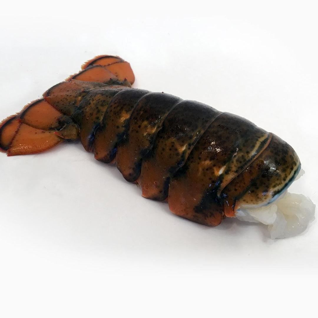 Maine Lobster Tails, each – Pelican Seafood Company