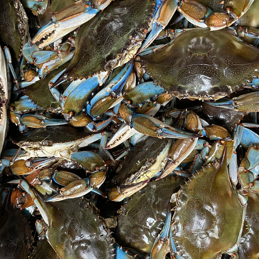 CRAB – Pelican Seafood Company