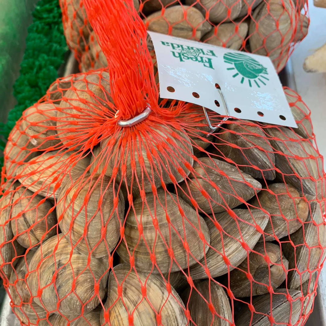 Hard Clams, Live – Pelican Seafood Company