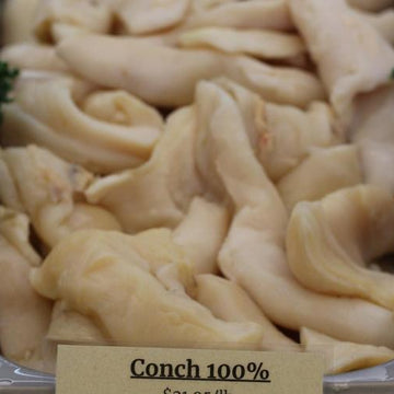 Conch Meat, 1lb.+ – Pelican Seafood Company