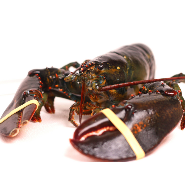 Pelican Seafood Company