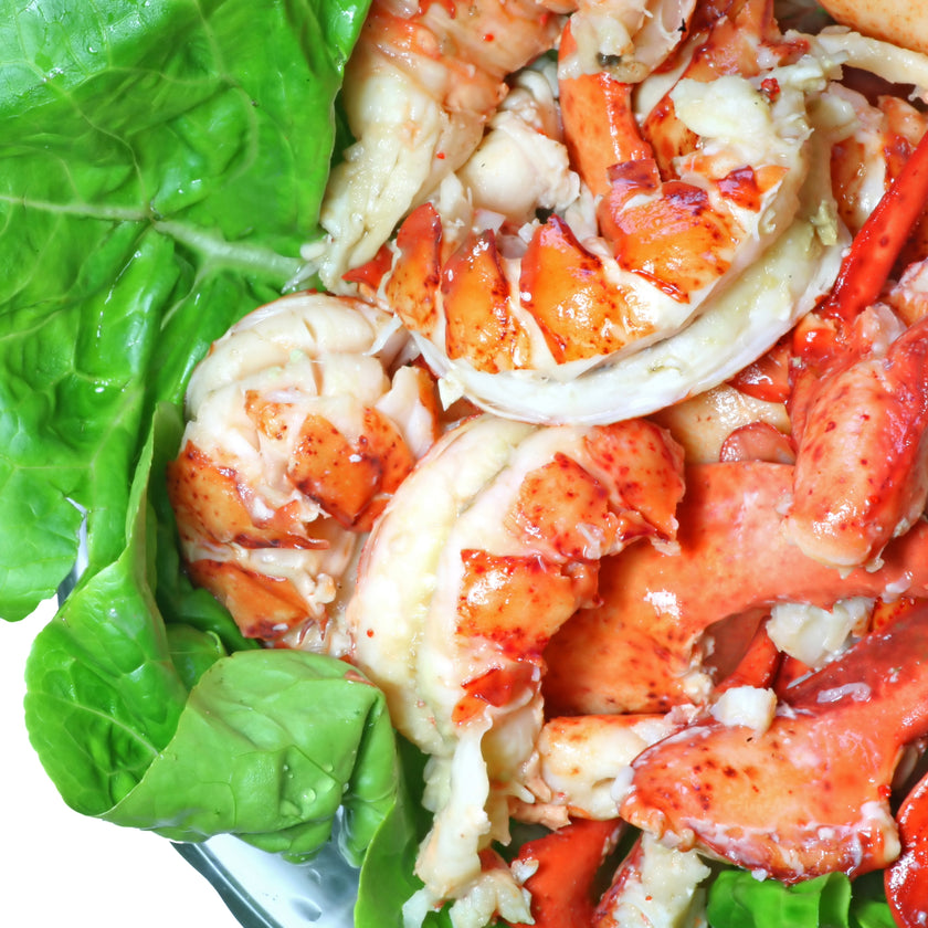 LOBSTER – Pelican Seafood Company