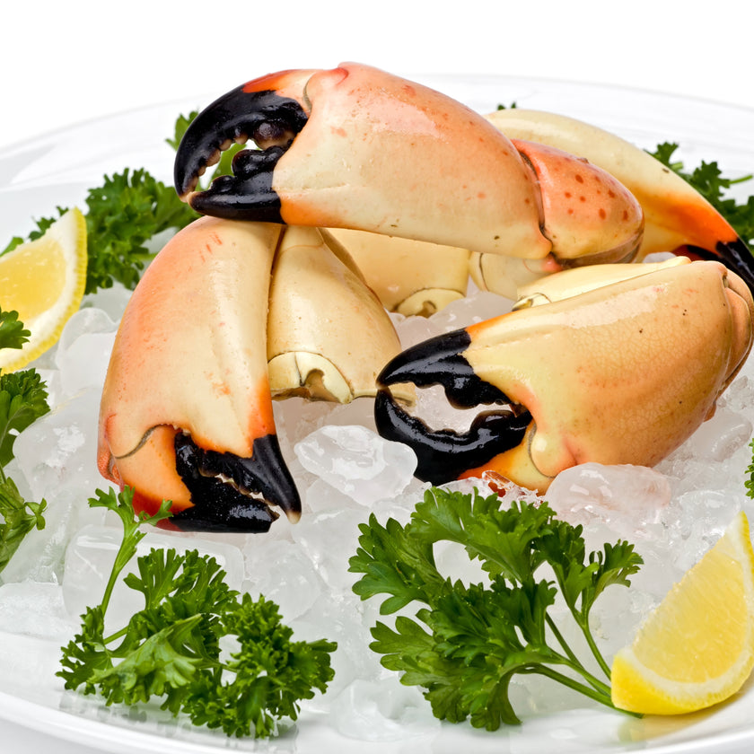 Pelican Seafood Company