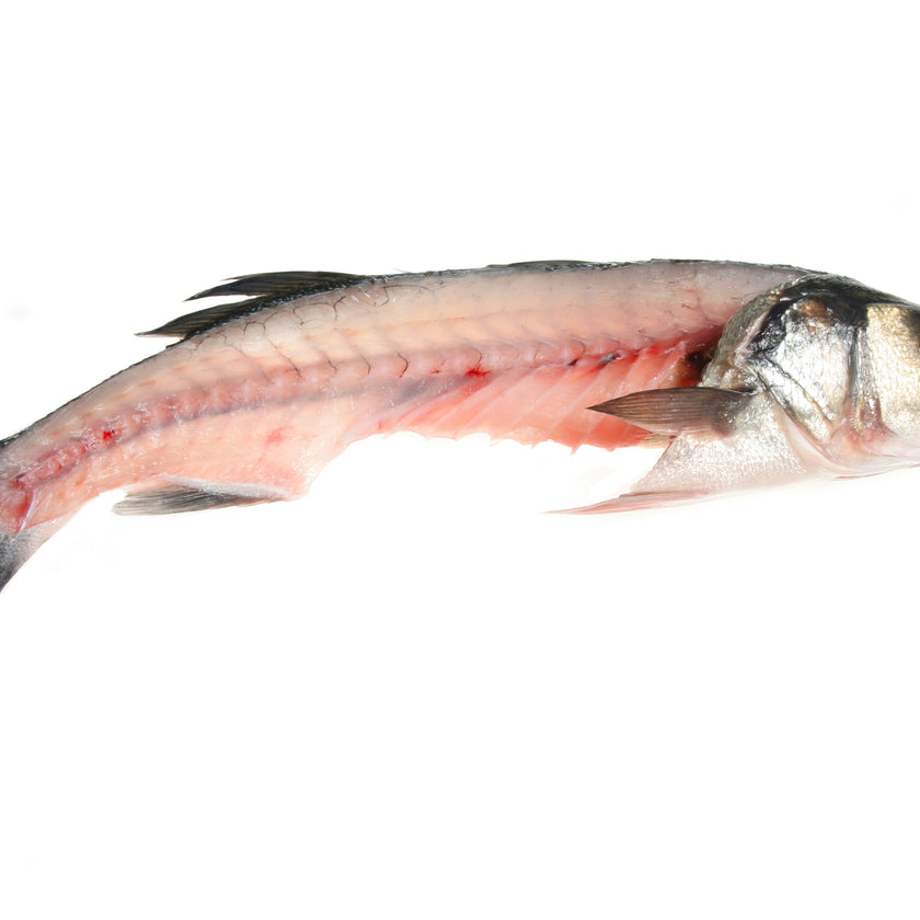 FISH – Pelican Seafood Company