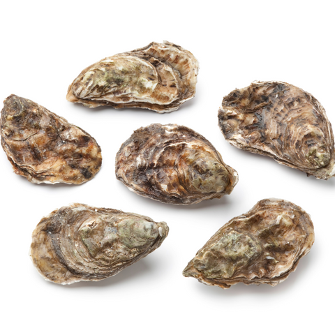 Pelican Seafood Company